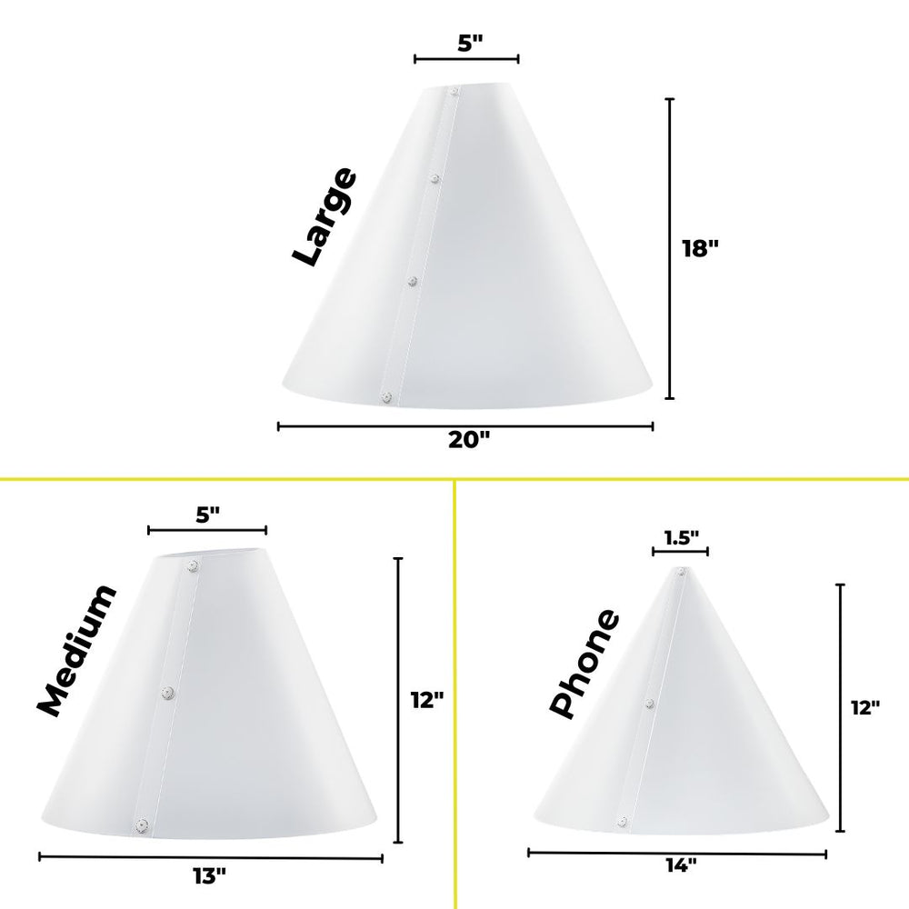 The Light Cone X Karl Taylor
